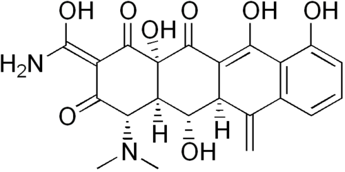 ميتاسيكلين - موسوعة العلوم العربية